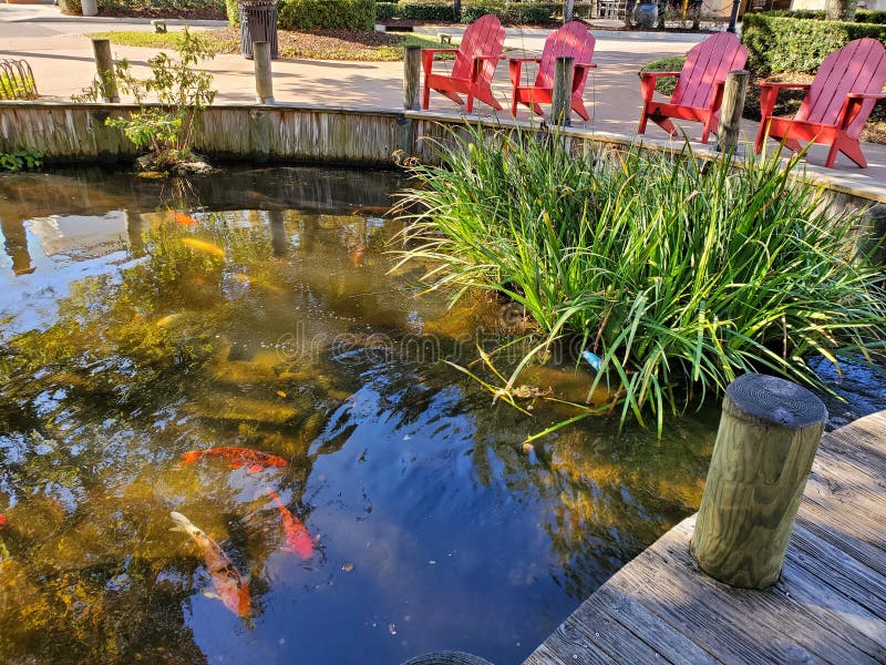Sitting Area with Pond and Koi Fish Stock Photo - Image of sitting ...