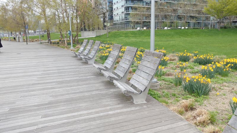 Sitting Benches in the Long Island City Park Stock Photo - Image of ...