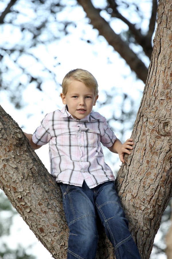Sitting boy stock photo. Image of tree, outside, glad - 7401490