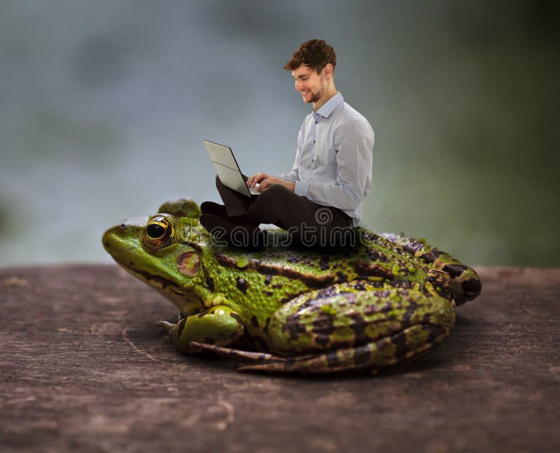 Sitting Cozy on a Toad and Working on Laptop Stock Image - Image of ...
