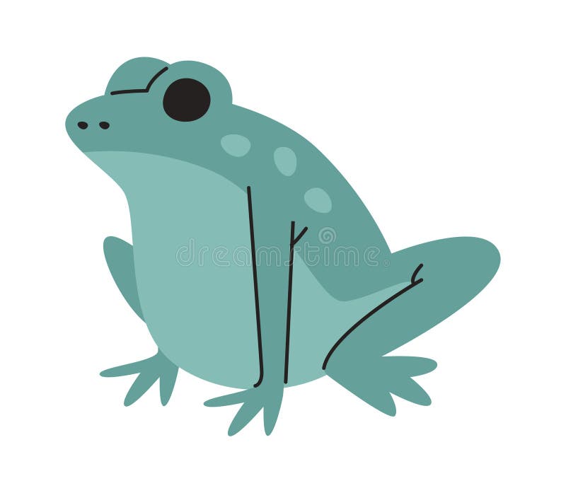 Sitting Frog Animal stock vector. Illustration of happy - 274149167
