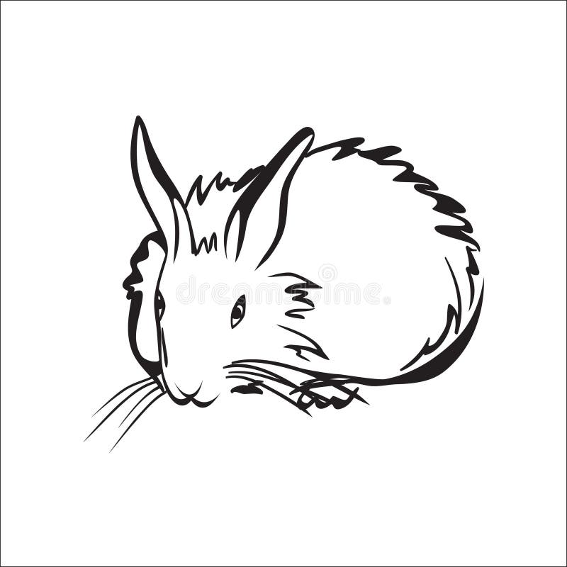 Outline Sitting Rabbit Vector Icon. Isolated Black Simple Line Element ...
