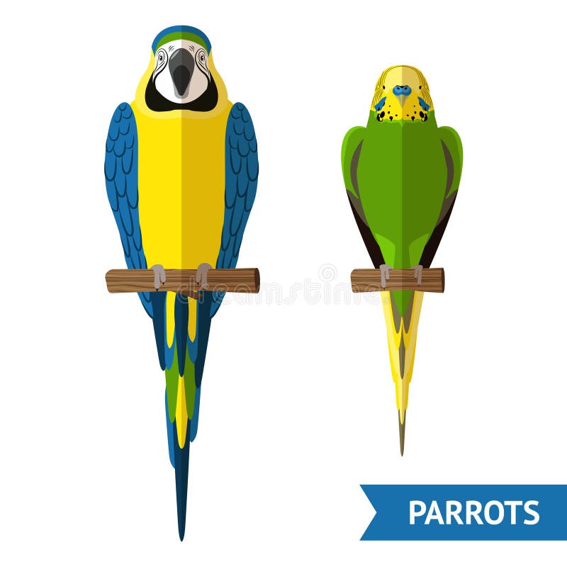 Sitting Parrots Set stock vector. Illustration of macaw - 209544245