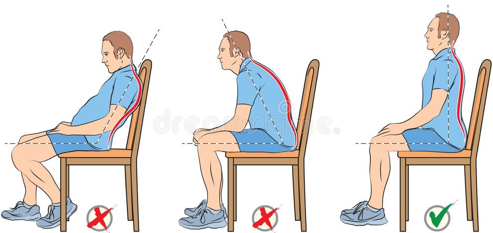 Sitting Anatomy Stock Illustrations – 1,647 Sitting Anatomy Stock ...