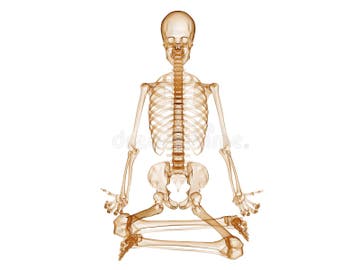 Sitting Human Skeleton Stock Illustrations – 486 Sitting Human Skeleton ...
