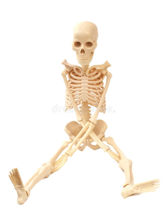 Sitting Skeleton Stock Photos - Download 1,644 Royalty Free Photos