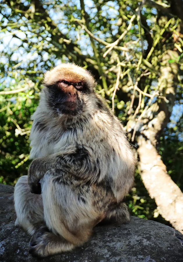 Sitting in the Sun stock photo. Image of enjoying, sitting - 55024026