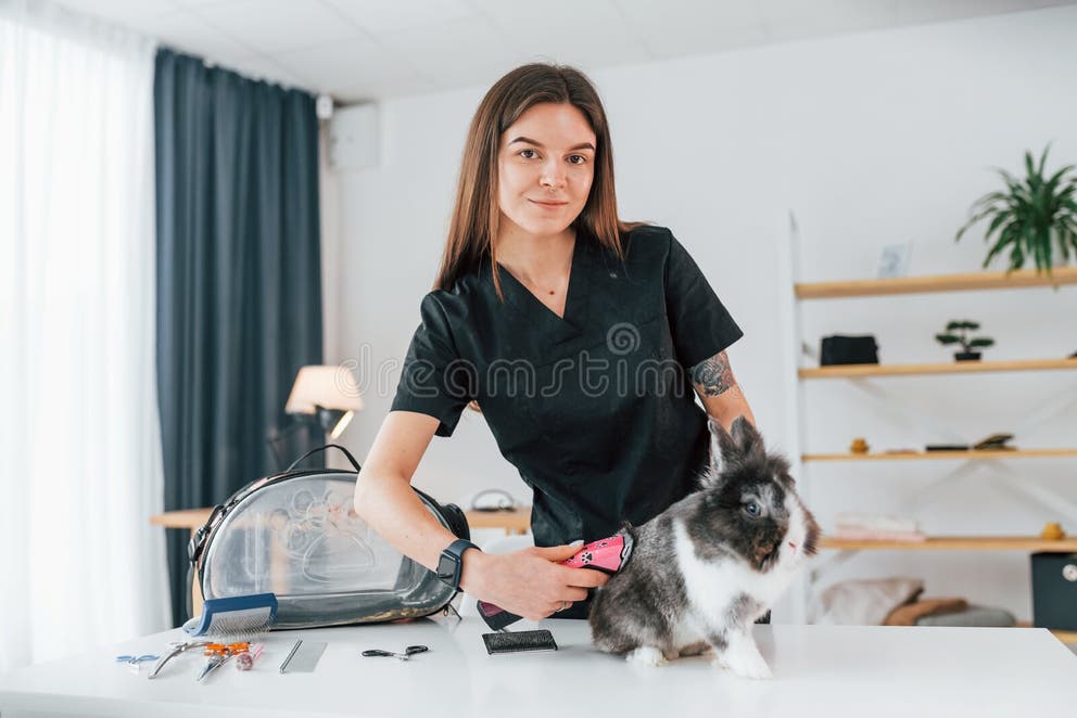 Sitting on the Table. Cute Little Rabbit is in the Grooming Studio ...