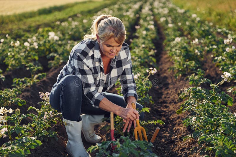 Sitting and Working by Using Garden Tools. Woman is on the Agricultural ...