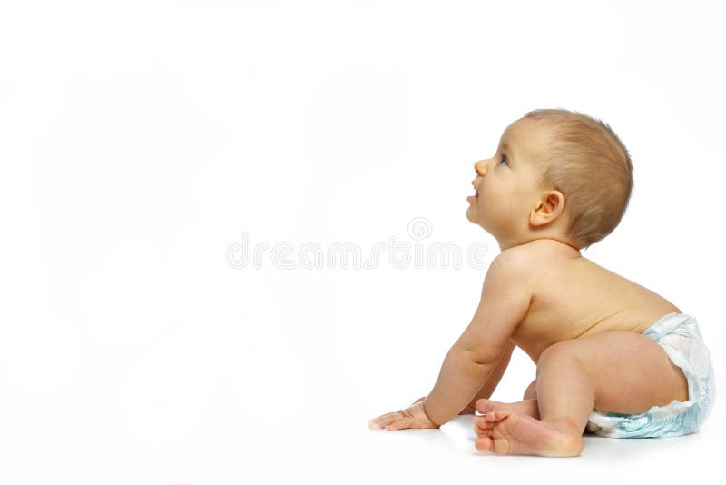 Sitzende junge Kuh stockfoto. Bild von gras, ordnen, tier - 2347170