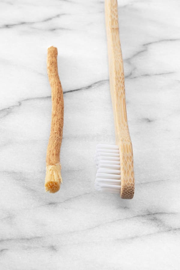 Siwak Stick Isolated on White Background. Stock Image - Image of care ...