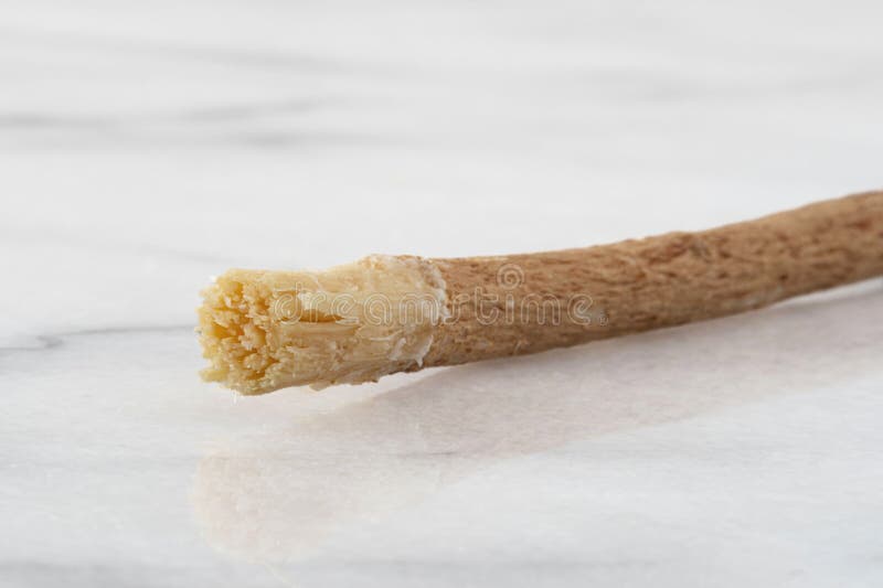 Siwak Stick Isolated on White Background. Stock Image - Image of care ...