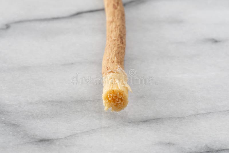 Siwak Stick on White Background Stock Photo - Image of alternative ...