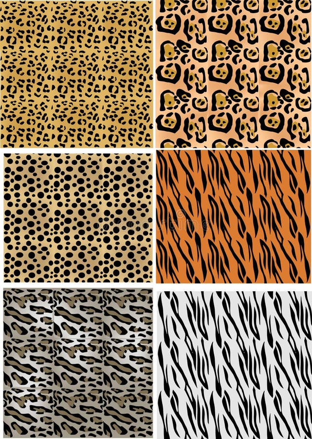 Animal skins stock vector. Illustration of giraffe, puma - 9163313