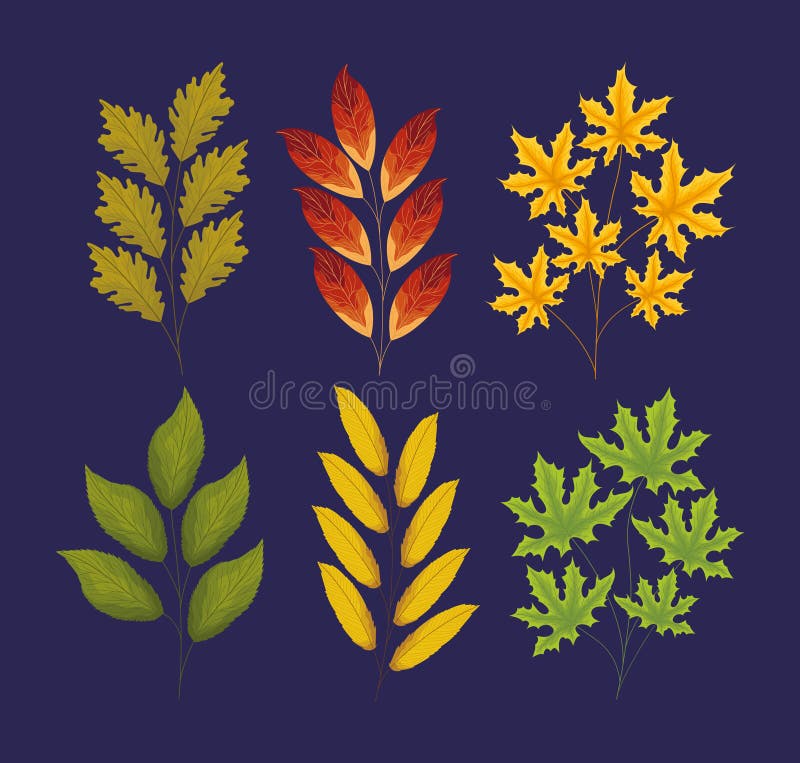 Six autumn branch stock vector. Illustration of nature - 225617928