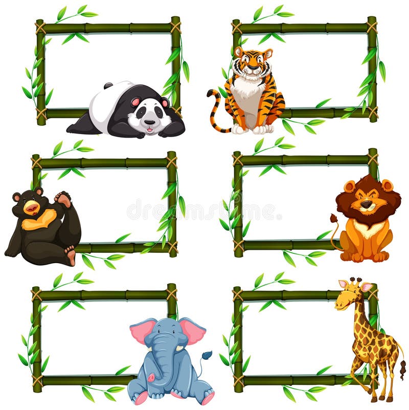 Bamboo frames stock vector. Illustration of cane, decoration - 31772862