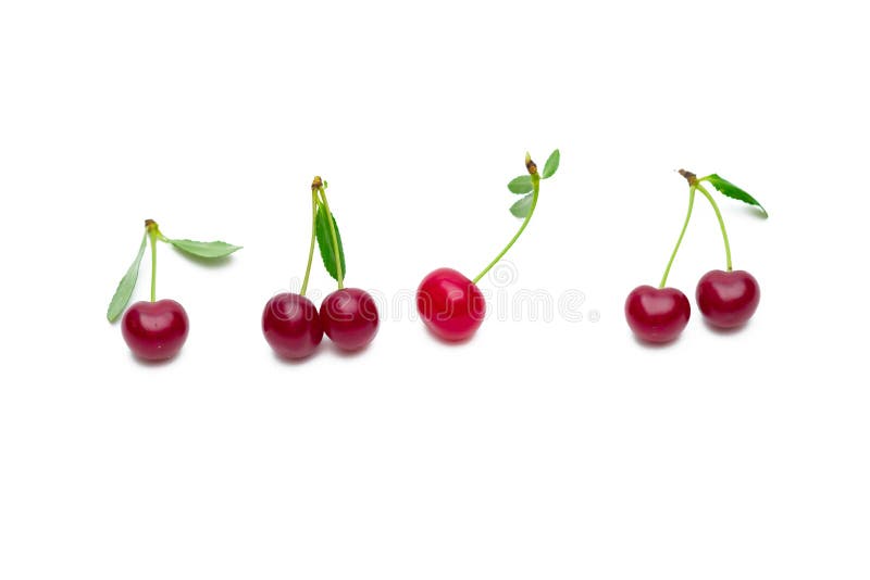 Six Cherry with Leaves Isolated on White Background. Stock Photo ...