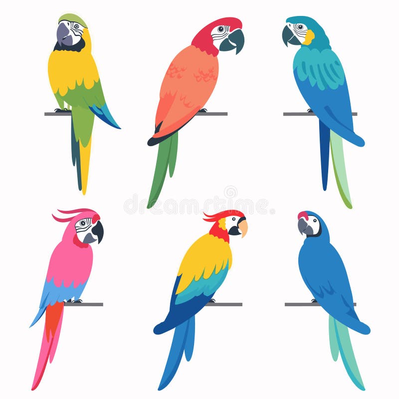 Six Colorful Parrots Perched, Vibrant Tropical Birds, Varied Plumage ... Six Colorful Parrots Perched, Vibrant Tropical Birds, Varied Plumage ...