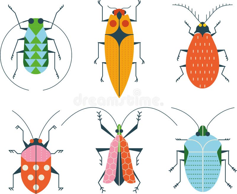 Six Colourful Vector Insects Stock Vector - Illustration of grasshopper ...