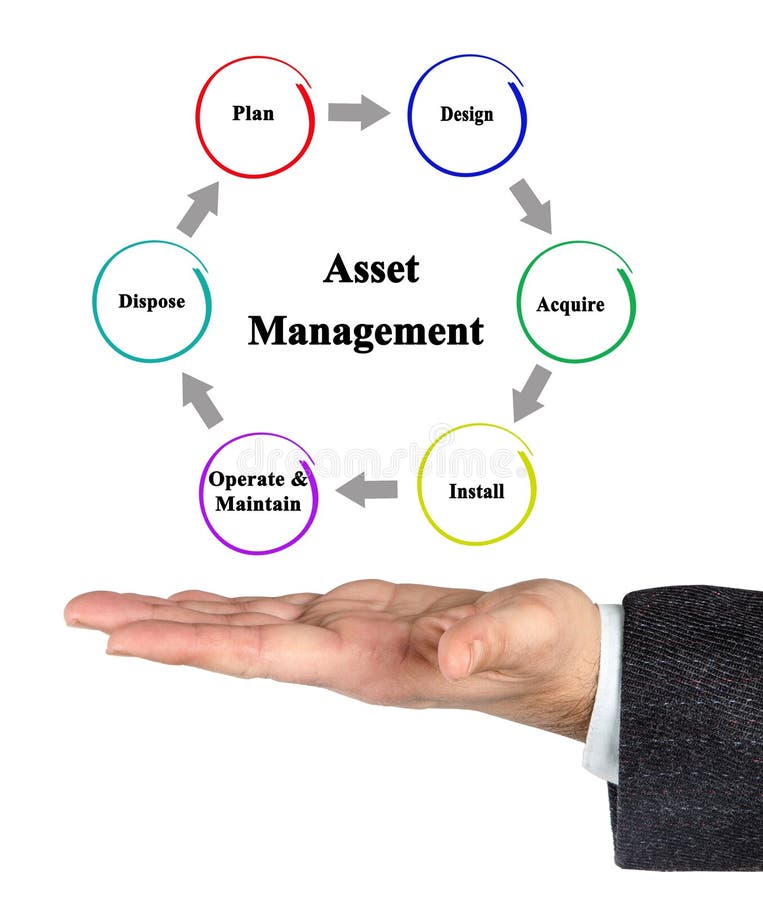 Components of Asset Management Stock Photo - Image of vertical, asset ...