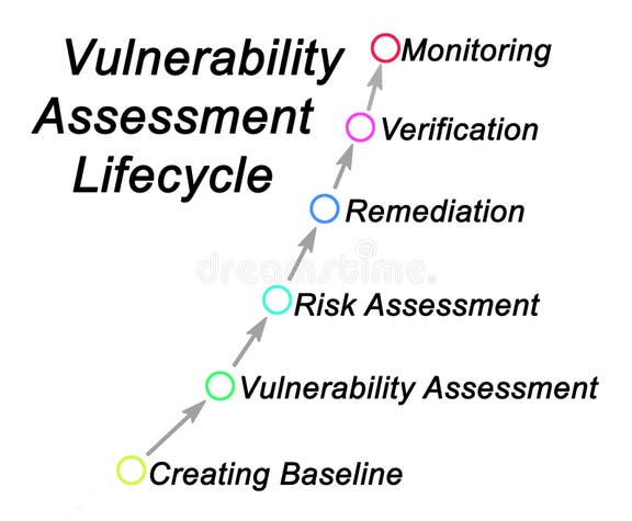 Components of Vulnerability Assessment Stock Illustration ...