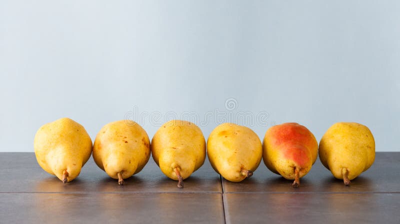 Six corella pears stock image. Image of fresh, growth - 69326921