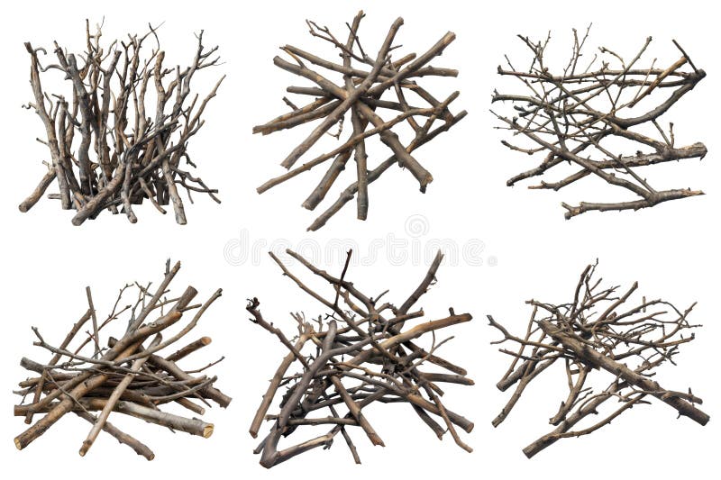 Six Different Arrangements of Dried Branches Stock Image - Illustration ...