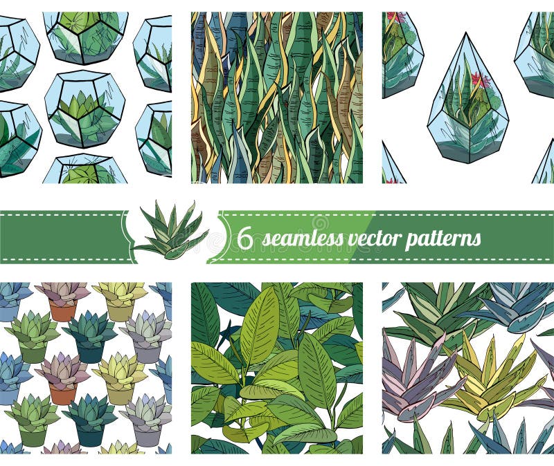 Six Different Seamless Patterns with Homeplant Plants Stock Vector ...