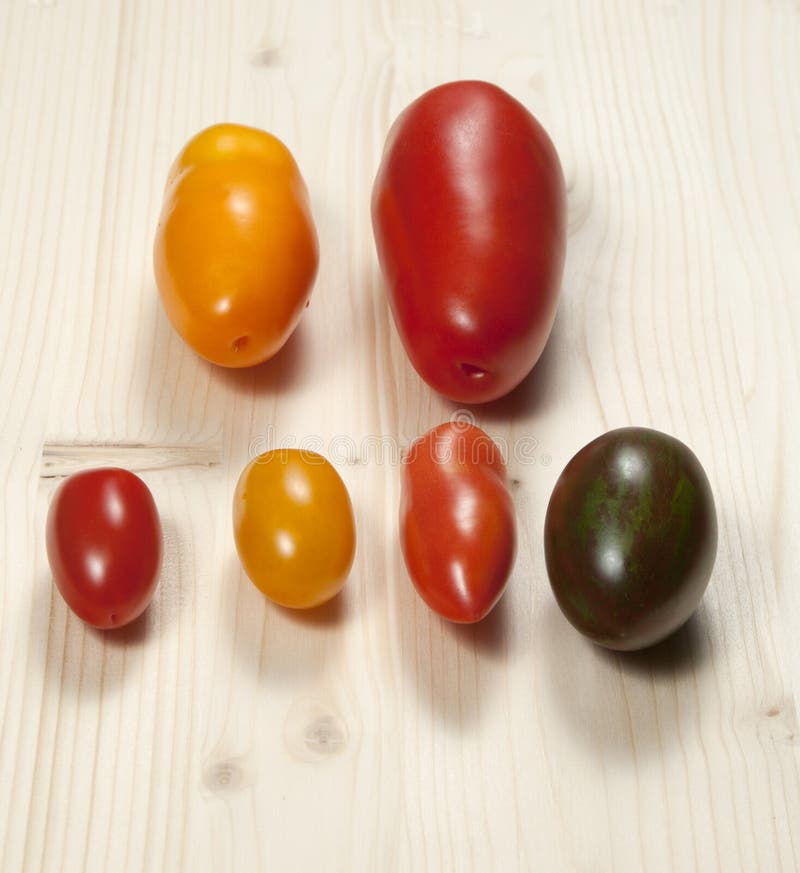 Six different tomatoes stock photo. Image of collection - 26264898