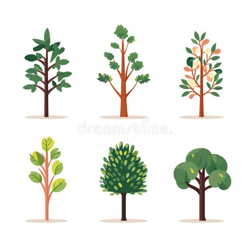 Six Different Types Cartoon Trees Against Isolated White Background ...