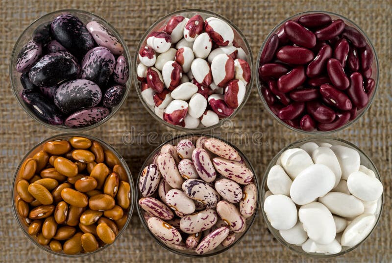 Six Different Varieties of Beans Stock Photo - Image of bean ...