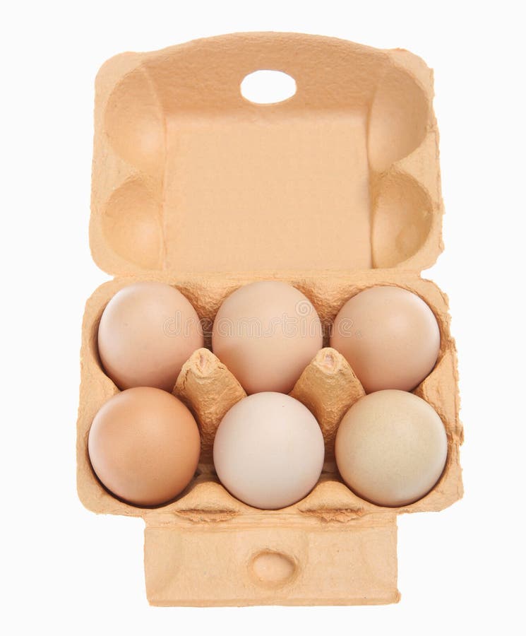 Six Eggs stock photo. Image of eggbox, rows, food, package - 6427864