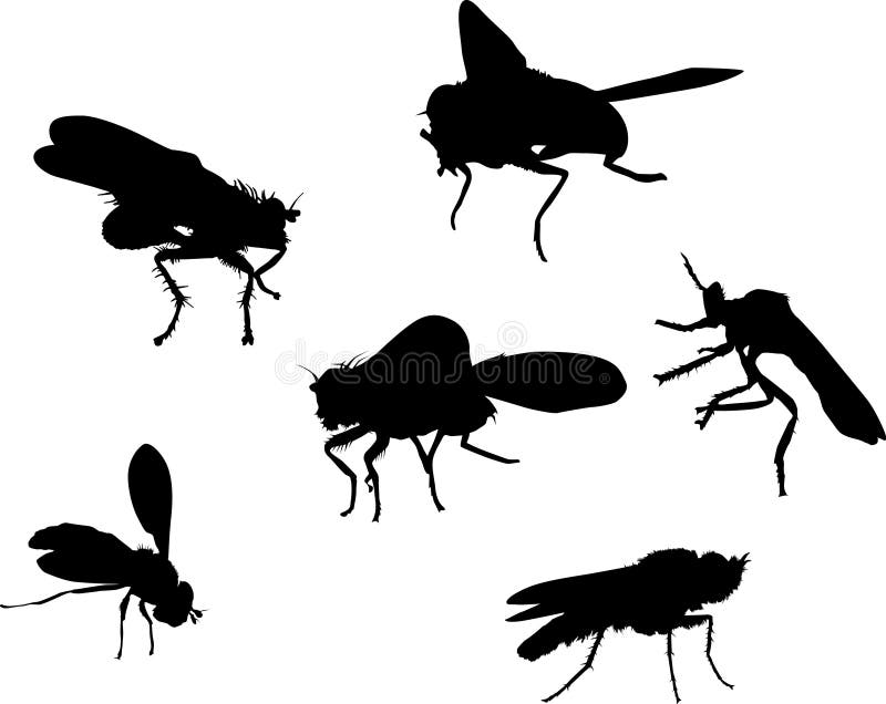 Fly silhouettes stock illustration. Illustration of filth - 16774421