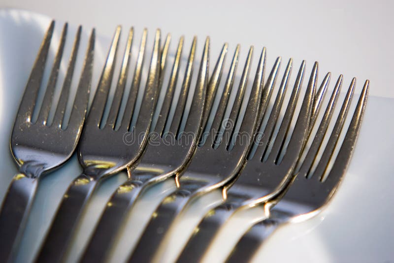 Forks Picture. Image: 8385756