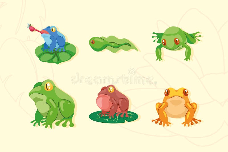 Six frogs amphibians stock vector. Illustration of characters - 271150058