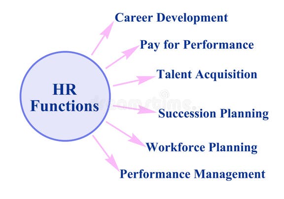 Functions of Human Resources Management Stock Illustration ...