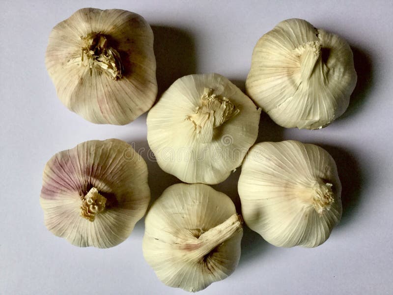 Whole garlic. Top view. stock photo. Image of food, foodporn - 121501472
