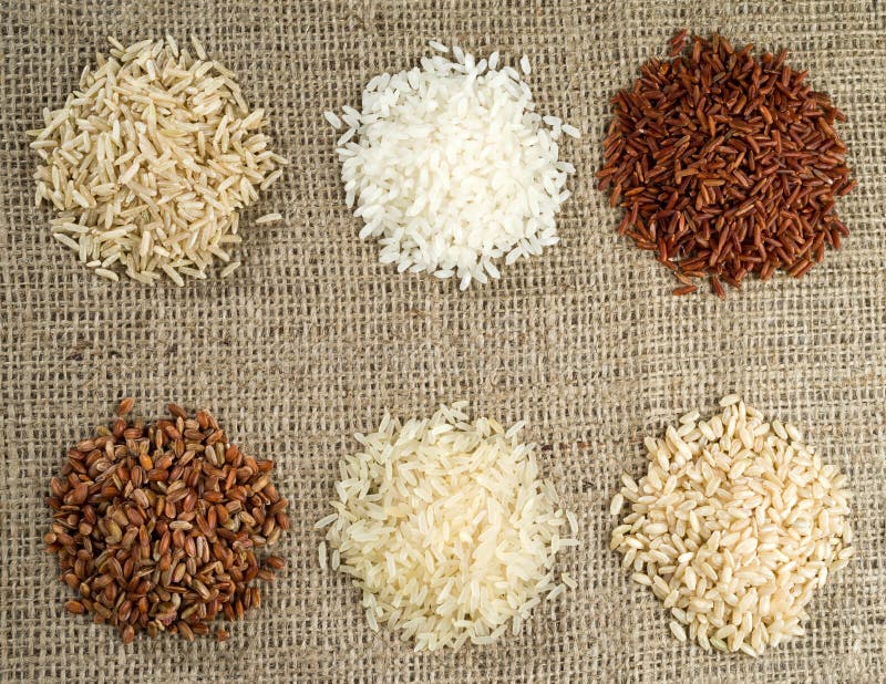 Six Heaps of Rice of Different Varieties Stock Image - Image of organic ...