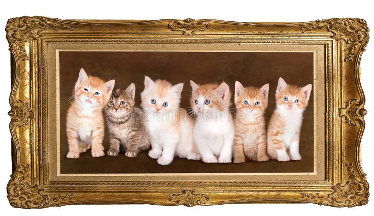Six kittens stock photo. Image of painting, beautiful - 6528314