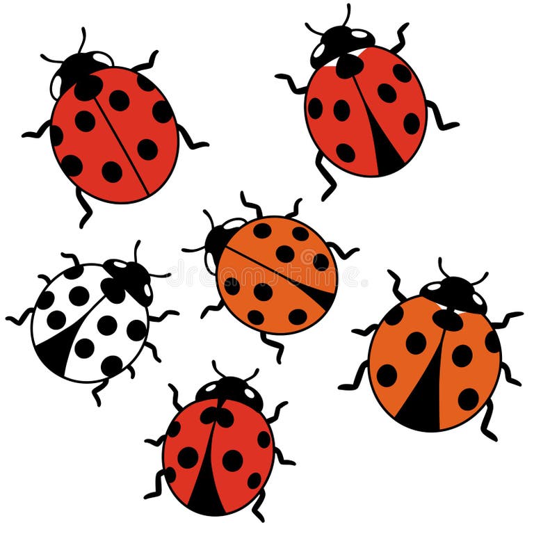 Lady bugs clip art stock vector. Illustration of dots - 371345491