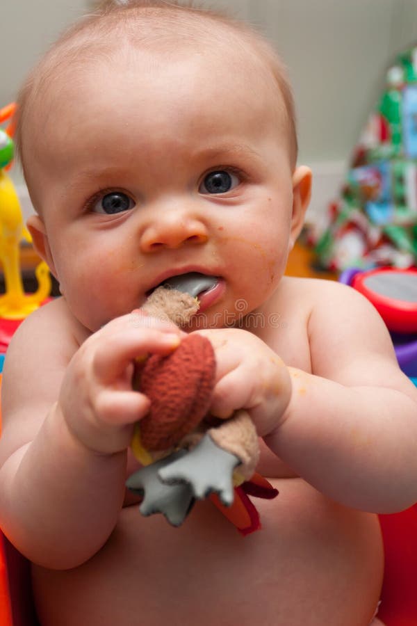 Six Month Old stock photo. Image of baby, colored, eyed - 23174862