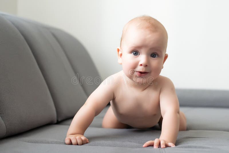 The Six-month-old Kid. Newborn 6 Months. Stock Image - Image of ...