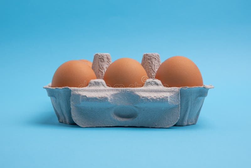Six Pack of Eggs in Carton. Stock Photo - Image of eggs, shell: 178846036