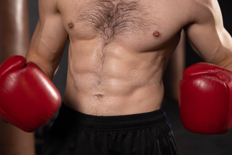 Six Pack of Male Boxer with Red Gloves Stock Image - Image of muscle ...
