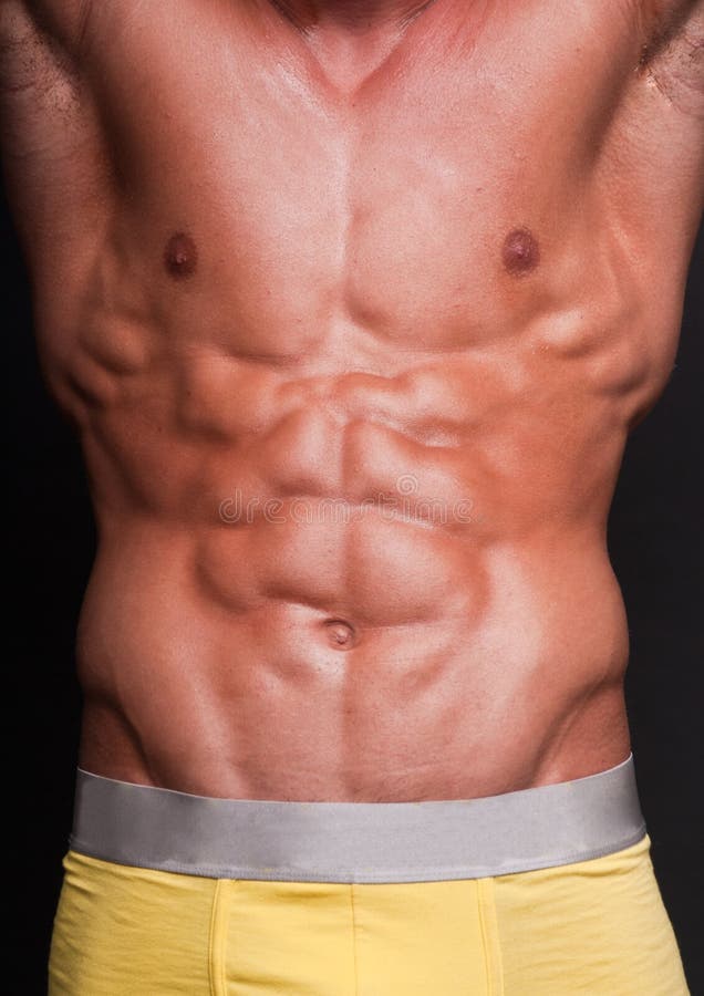 Torso with six pack stock image. Image of diet, young - 24480915