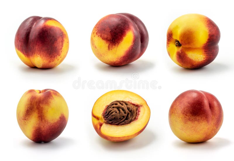 Six Peaches Isolated on White Stock Image - Image of ripe, peach: 272304221