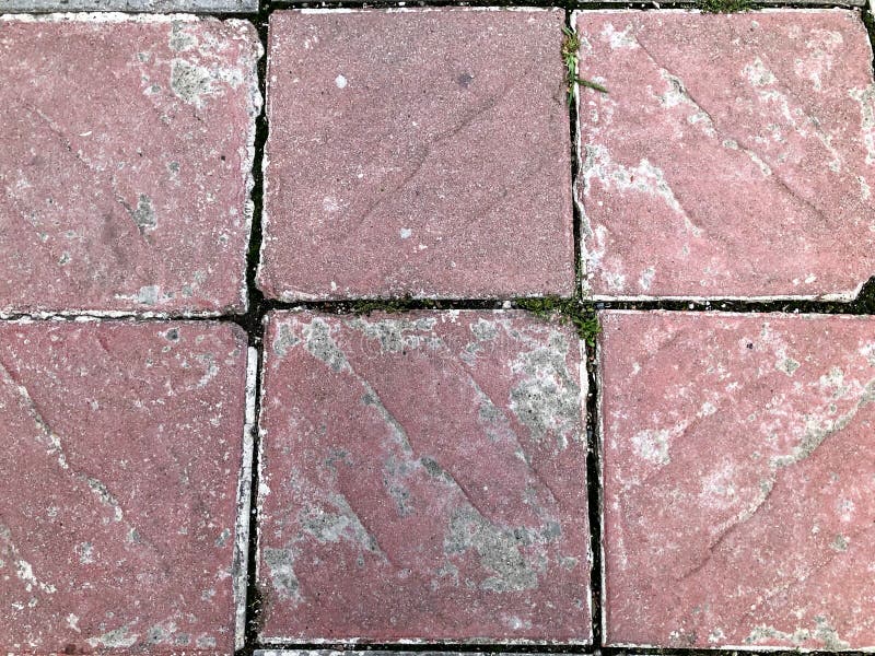 Six Purple Pavement Bricks Background and Texture Stock Image - Image ...