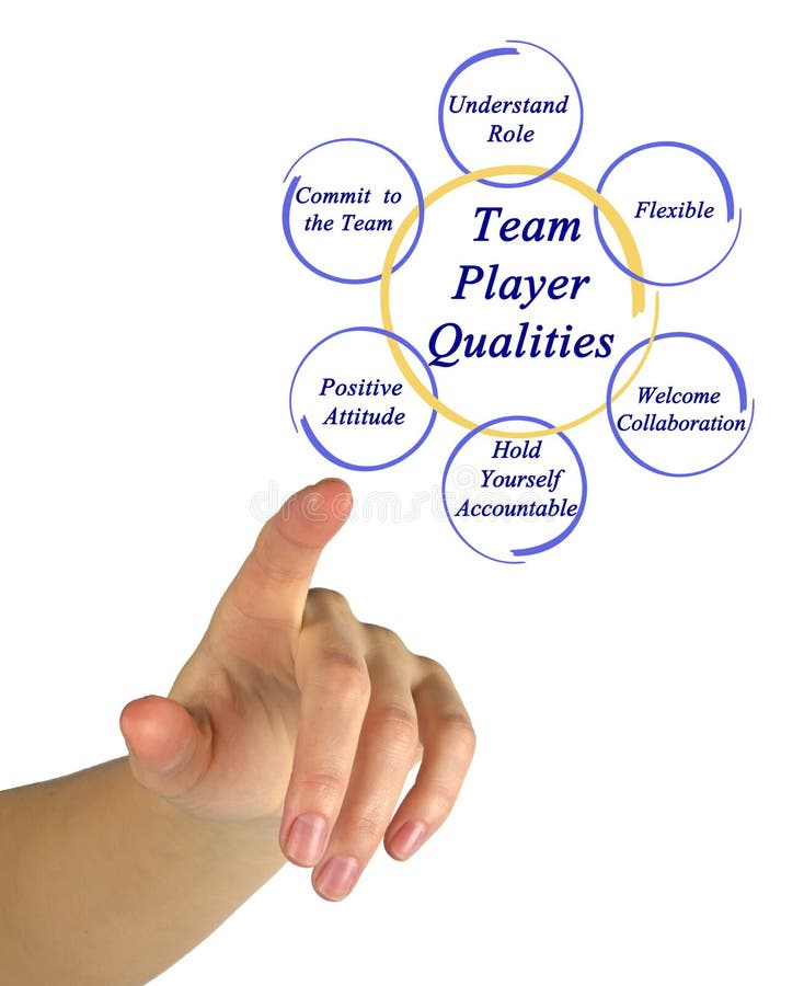 Qualities of Team Player stock image. Image of diagram - 369049493