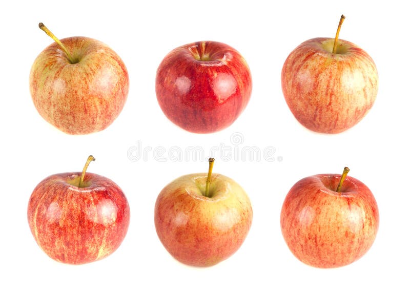 466 Six Apples Photos - Free & Royalty-Free Stock Photos from Dreamstime