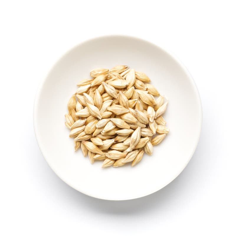 Six-row barley with husks stock image. Image of seed - 49935369
